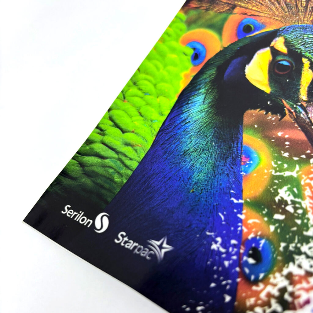 Vinil DE 530 S - Transparente - Serilon